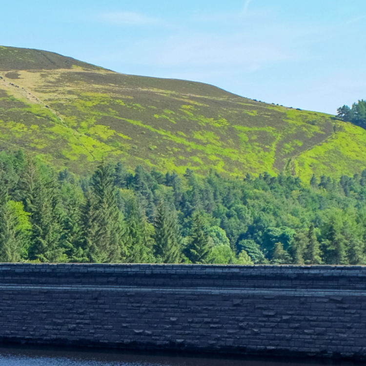 AMP 8: Navigating the Future of Water Sustainability | Action ... AMP 8: Navigating the Future of Water Sustainability | Action ...